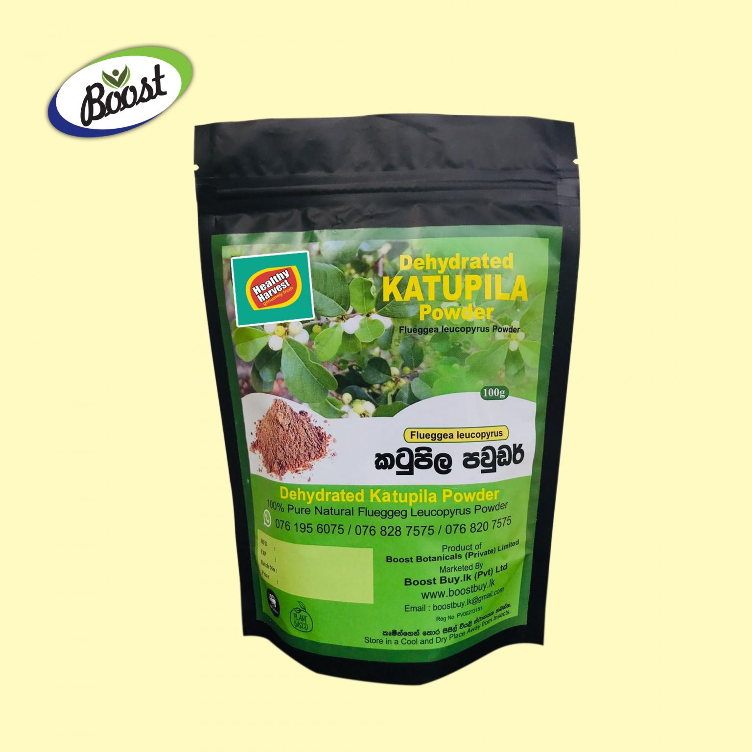 KATUPILA -FLUGGUEA LEUCOPYRUS- DEHYDRATED POWDER - 100g - Boostbuy